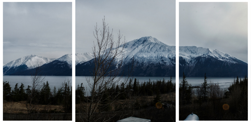 Use of Homography Matrix for image stitching | ignitarium.com